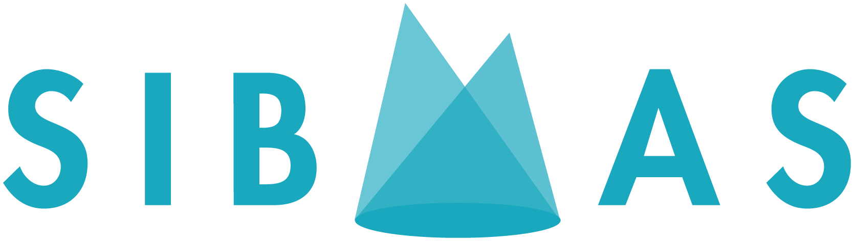 Hong Kong 2024 - 34th SIBMAS Conference 2024 Hong Kong